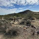 Black Rock Loop Trail, Arizona - 678 Reviews, Map | AllTrails