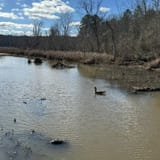 Lake Conestee Nature Trail and Swamp Rabbit Trail, South Carolina - 305 ...