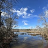 Lake Conestee Nature Trail and Swamp Rabbit Trail, South Carolina - 305 ...