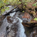 Trace Ridge Trail, Spencer Gap, and Fletcher Creek Loop, North Carolina ...