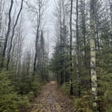 Echo Bay Trail, Minnesota - 161 Reviews, Map | AllTrails
