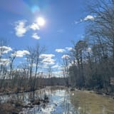 Lake Conestee Nature Trail and Swamp Rabbit Trail, South Carolina - 305 ...