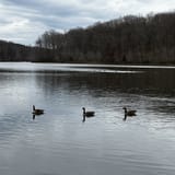 Clopper Lake Shore Trail, Maryland - 2,154 Reviews, Map | AllTrails