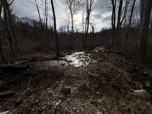 Best Hikes and Trails in G. Richard Thompson Wildlife Management Area ...