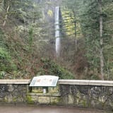 Latourell Falls Loop, Oregon - 6,556 Reviews, Map | AllTrails