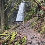 Latourell Falls Loop, Oregon - 6,556 Reviews, Map | AllTrails