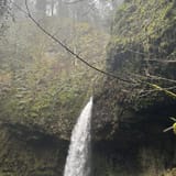 Latourell Falls Loop, Oregon - 6,556 Reviews, Map | AllTrails