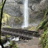Latourell Falls Loop, Oregon - 6,556 Reviews, Map | AllTrails