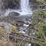 Latourell Falls Loop, Oregon - 6,556 Reviews, Map | AllTrails