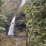 Latourell Falls Loop, Oregon - 6,556 Reviews, Map | AllTrails