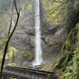 Latourell Falls Loop, Oregon - 6,556 Reviews, Map | AllTrails
