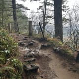 Latourell Falls Loop, Oregon - 6,556 Reviews, Map | AllTrails