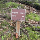 Latourell Falls Loop, Oregon - 6,556 Reviews, Map | AllTrails