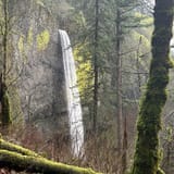 Latourell Falls Loop, Oregon - 6,556 Reviews, Map | AllTrails