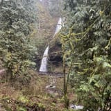 Latourell Falls Loop, Oregon - 6,556 Reviews, Map | AllTrails