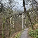 Latourell Falls Loop, Oregon - 6,556 Reviews, Map | AllTrails