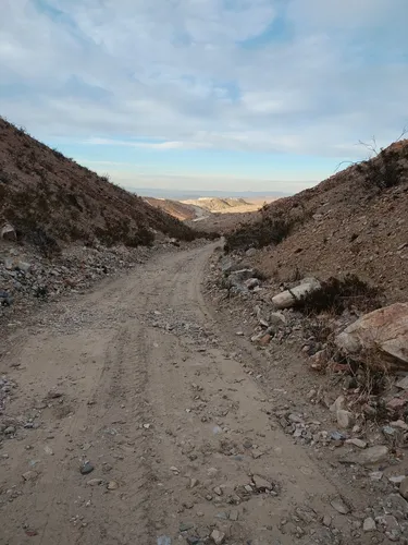 Best Hikes and Trails in Oro Grande | AllTrails