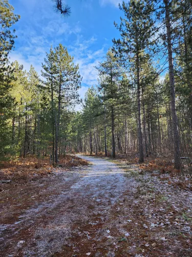 10 Best Hikes and Trails in Escanaba River State Forest | AllTrails