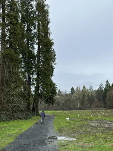 Best Hikes and Trails in Dorris Ranch Living History Farm | AllTrails