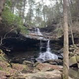 Greeter Falls Loop, Tennessee - 1,019 Reviews, Map | AllTrails