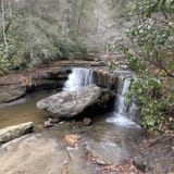 Greeter Falls Loop, Tennessee - 1,019 Reviews, Map | AllTrails