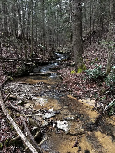 Best Off Road Driving Trails in Prentice Cooper State Forest | AllTrails