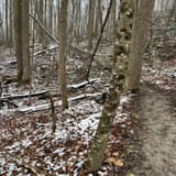 Ship Rock Trail, West Virginia - 99 Reviews, Map | AllTrails