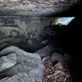 Panther Den Loop, Illinois - 907 Reviews, Map | AllTrails