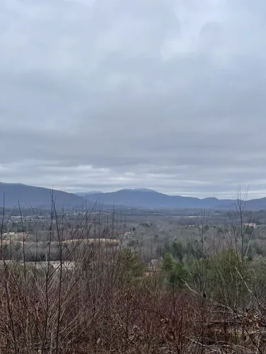 Best Hikes and Trails in Lone Mountain State Forest | AllTrails