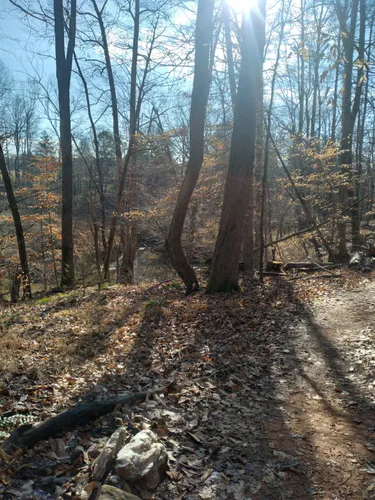 Best Hikes and Trails in Cates Farm Park | AllTrails