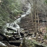 Lye Brook Falls Trail, Vermont - 2,763 Reviews, Map | AllTrails