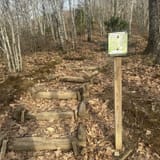 Max Patch Loop, North Carolina - 2,057 Reviews, Map | AllTrails