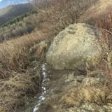 Max Patch Loop, North Carolina - 2,057 Reviews, Map | AllTrails