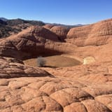 The Bowl, The Vortex, Utah - 1,471 Reviews, Map | AllTrails