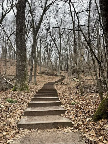 Best Hikes and Trails in Wild River State Park | AllTrails