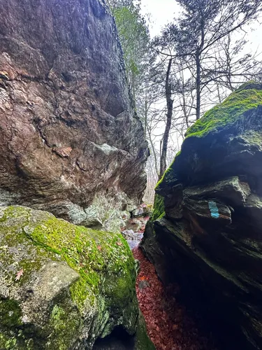 Best 10 Hiking Trails in Mattatuck State Forest | AllTrails
