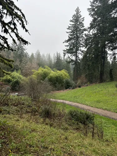 10 Best Trails and Hikes in Portland | AllTrails