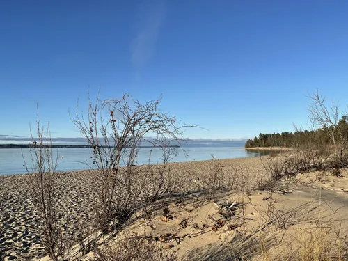 Best Hikes and Trails in Maple Bay Natural Area | AllTrails