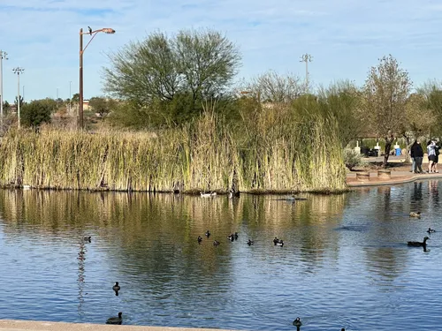Best Hikes and Trails in Gilbert | AllTrails