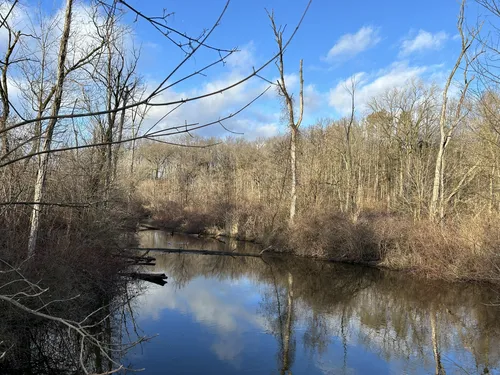 Best Easy Trails in Rose Lake State Wildlife Area | AllTrails