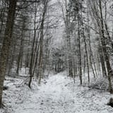 Potato Field and Maple Grove Trail Loop, New York - 366 Reviews, Map ...