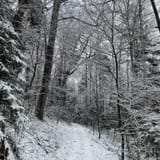 Potato Field and Maple Grove Trail Loop, New York - 366 Reviews, Map ...