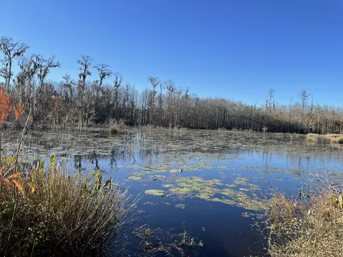 Best Hikes and Trails in Debbie Lightsey Nature Park | AllTrails