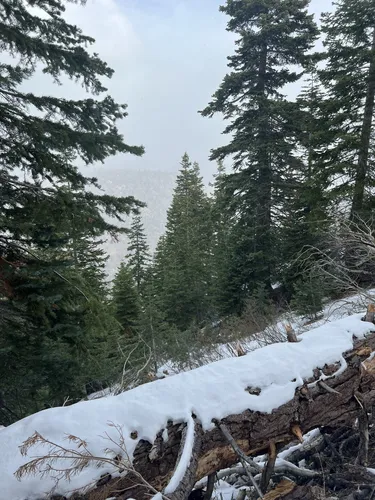 Best Hikes and Trails in Owens River Headwaters Wilderness | AllTrails