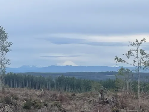 Best Hikes and Trails in Port Gamble Forest Heritage Park | AllTrails