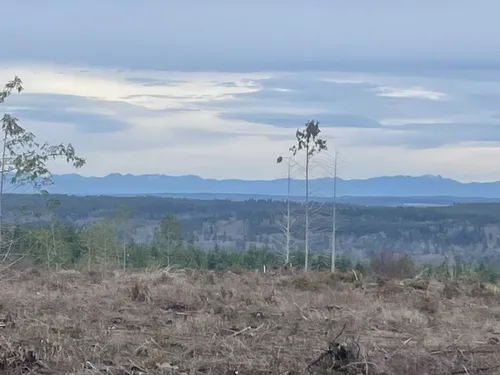 Best Hikes and Trails in Port Gamble Forest Heritage Park | AllTrails