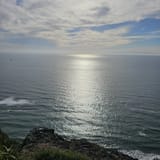Mercer Bay Loop Track, Auckland, New Zealand - 504 Reviews, Map | AllTrails