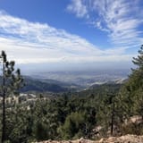 Figueroa Mountain [CLOSED], California - 320 Reviews, Map | AllTrails