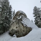 Cheese Rock Trail, Washington - 348 Reviews, Map | AllTrails