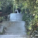 Vulcan Steps, California - 40 Reviews, Map | AllTrails